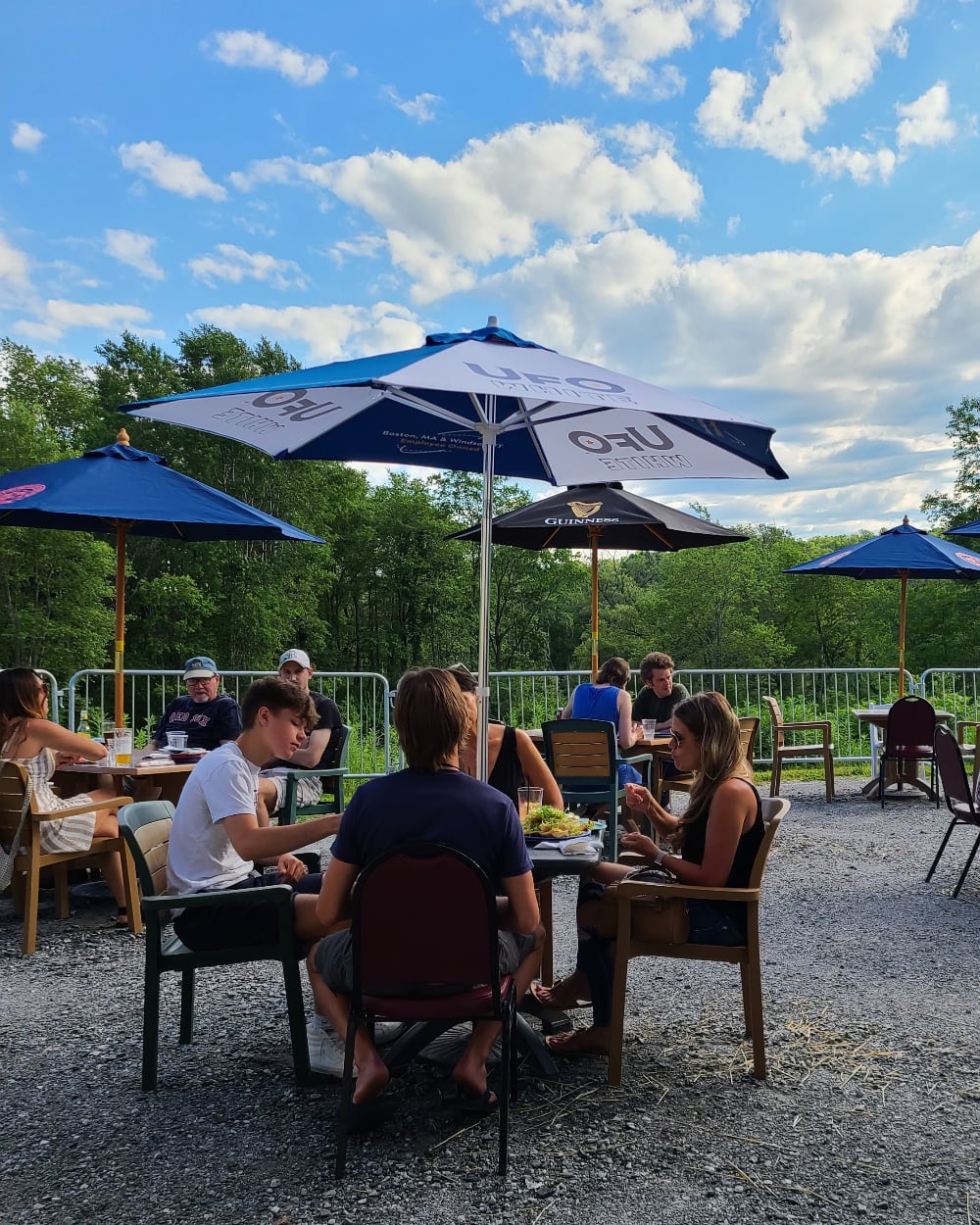 The New Beer Garden - Olde Forge